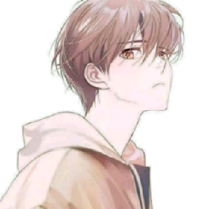 shikong333 