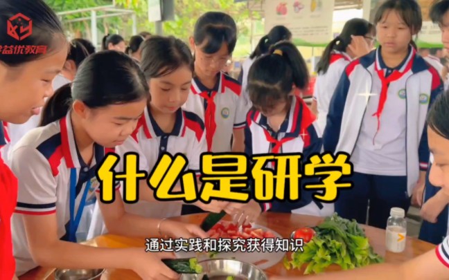 什么是研学?研学的真正价值和意义是什么?