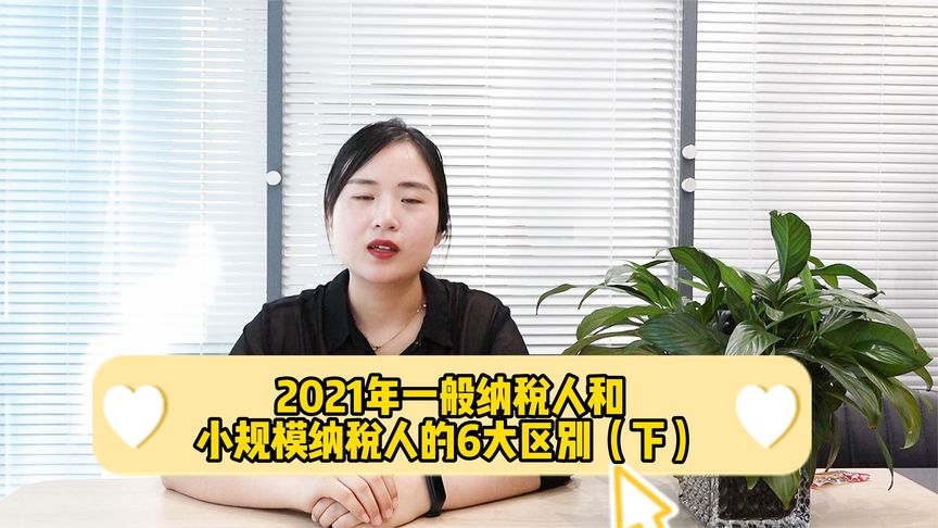 2021年一般纳税人和小规模纳税人的6大区别(下)