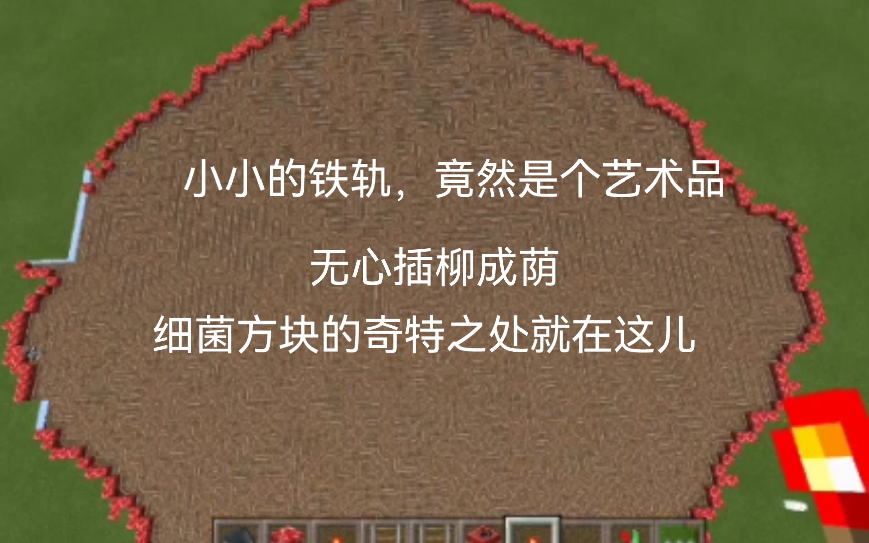 没想到细菌方块竟还有这样的功能!真是太厉害了