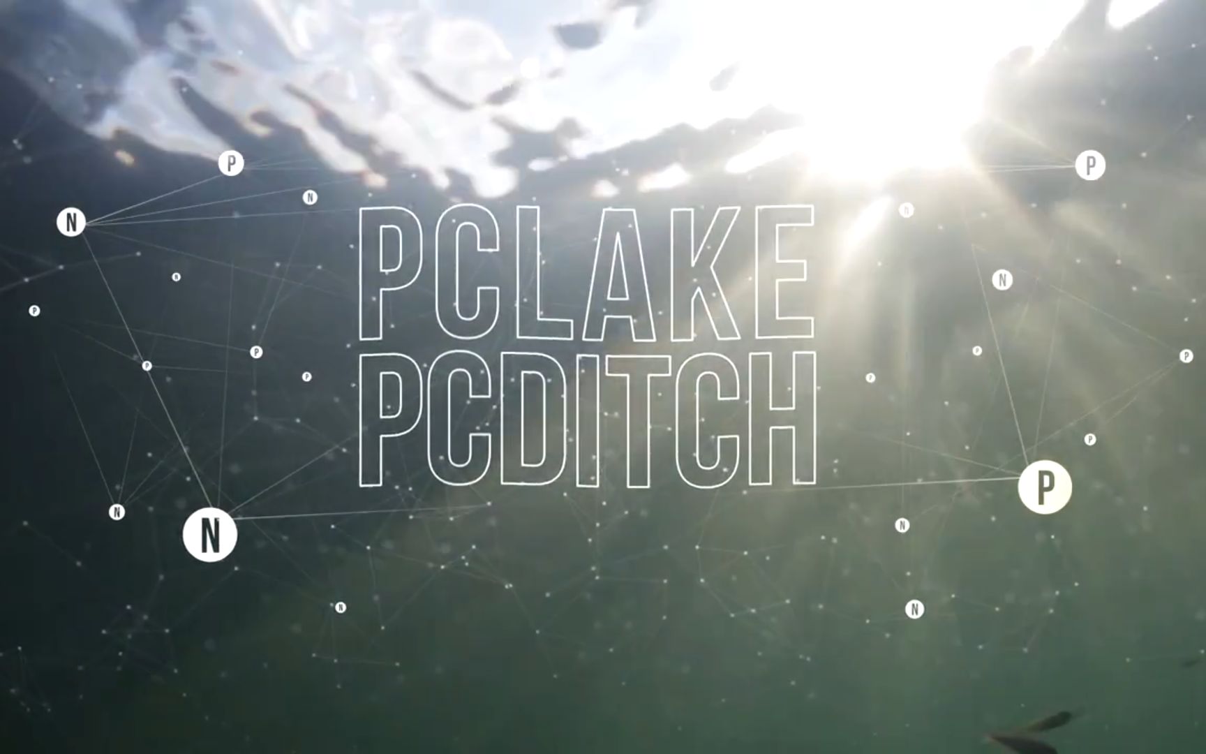 PClake模型介绍(生肉)