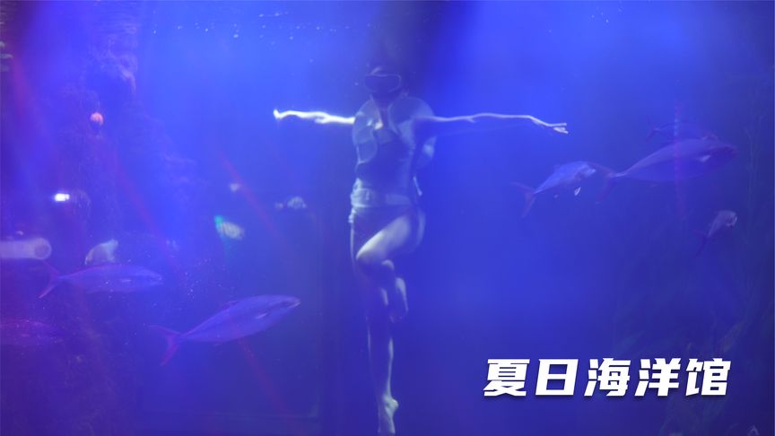 海底微世界.mp4
