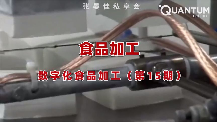 数字化食品加工第15期:这是什么,大家能猜到吗?