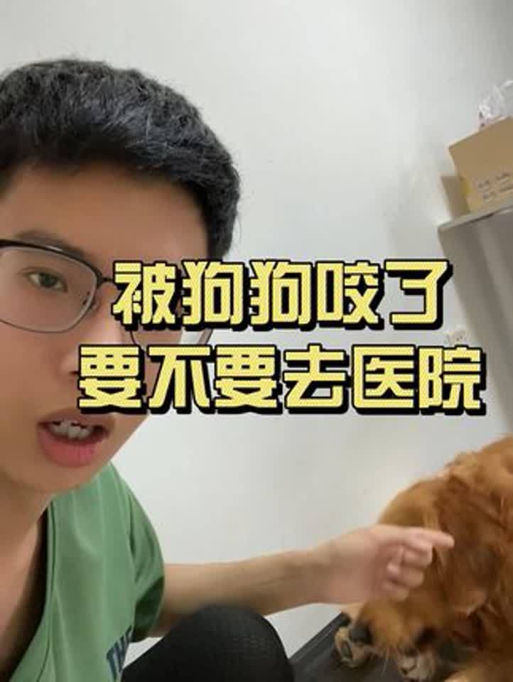 被狗狗咬了到底要不要打狂犬疫苗 #养狗经验分享 #宠物科普 #新手...