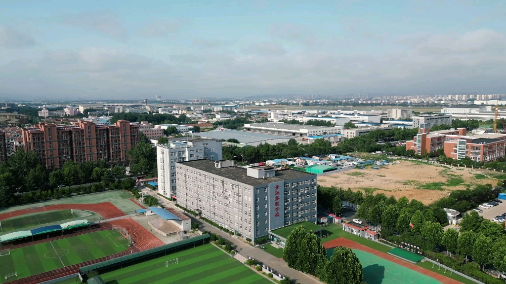 很难说不想念这所狗学校