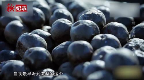 冻梨是一个大自然跟人共同创作的食物