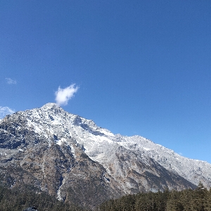 杨岳老师 