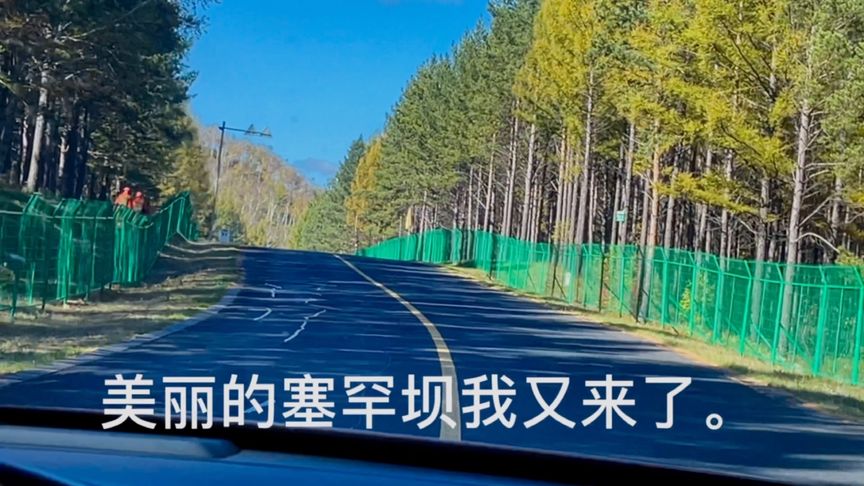 再次来的美丽的塞罕坝,看到两边新建的栅栏让我无语