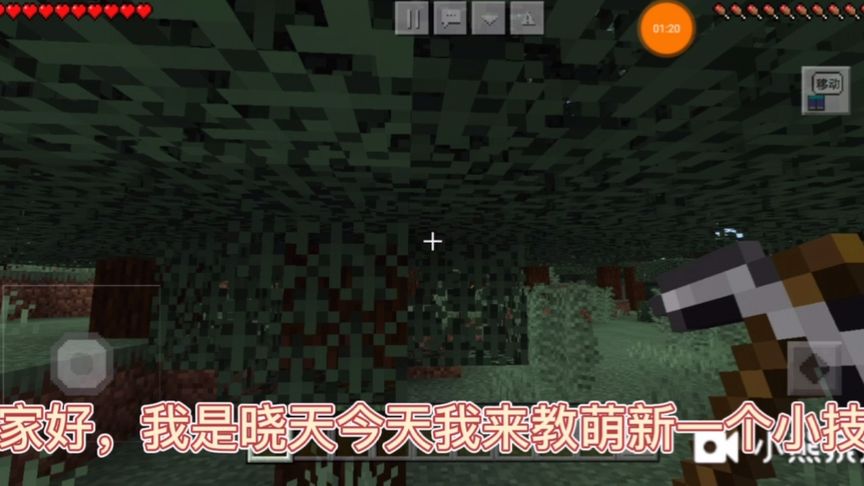 我的世界萌新必看小技巧可提升挖到钻石的概率(大佬千万别看)