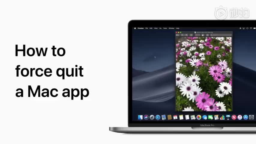 Mac如何强制退出后台程序