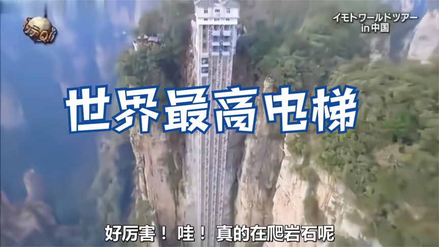 日综艺人来到了张家界武陵源,坐世界最高电梯,悬崖边走玻璃栈道