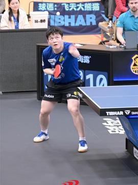 樊振东有多受欢迎?一张赛场照惊艳世界摄影圈,球迷:飞天大熊猫