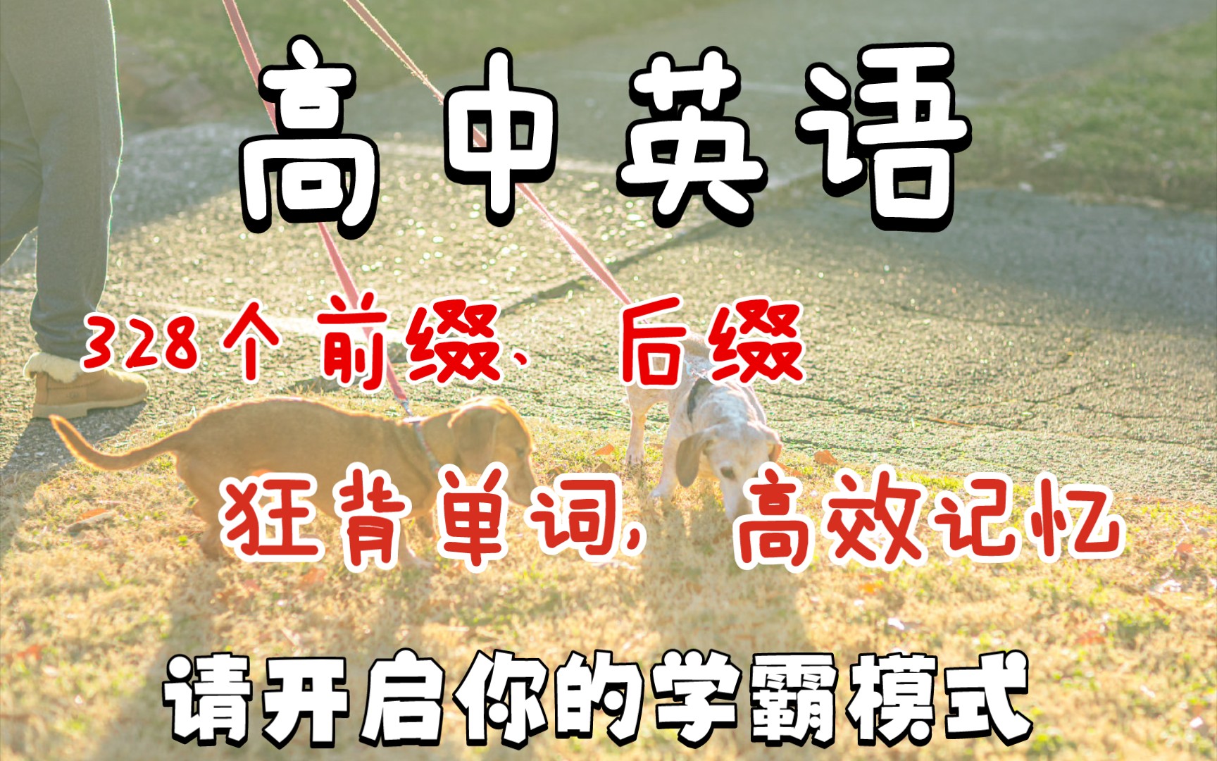 328个前缀、后缀,狂背单词,高效记忆ߙ�请开启你高中英语的学霸模式...