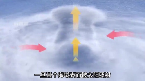 台风是如何形成的?台风为什么有那么多奇怪的名字?