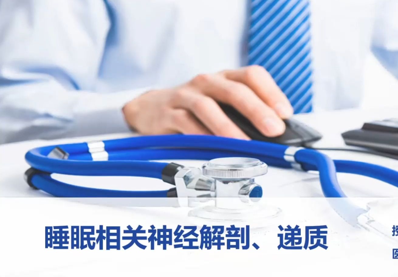 睡眠相关神经解剖、递质