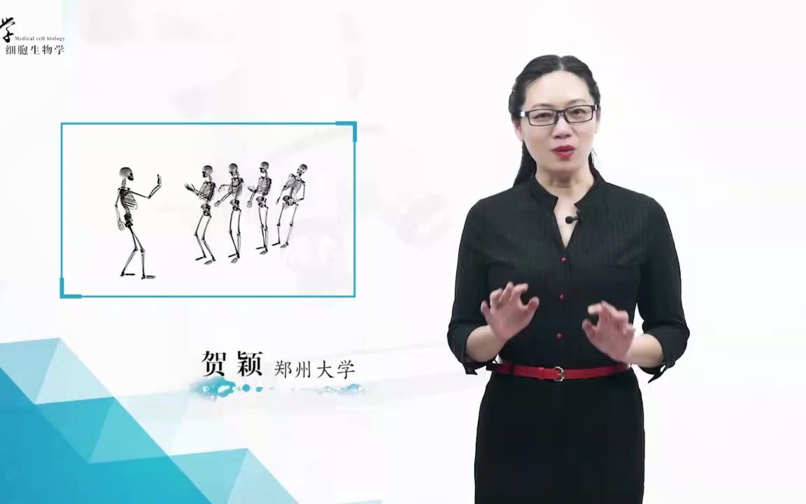 12.1 微管的形态结构