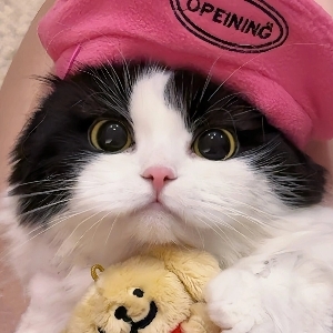 糯米糕糕不黏糊 