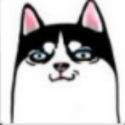苏铁SUT 