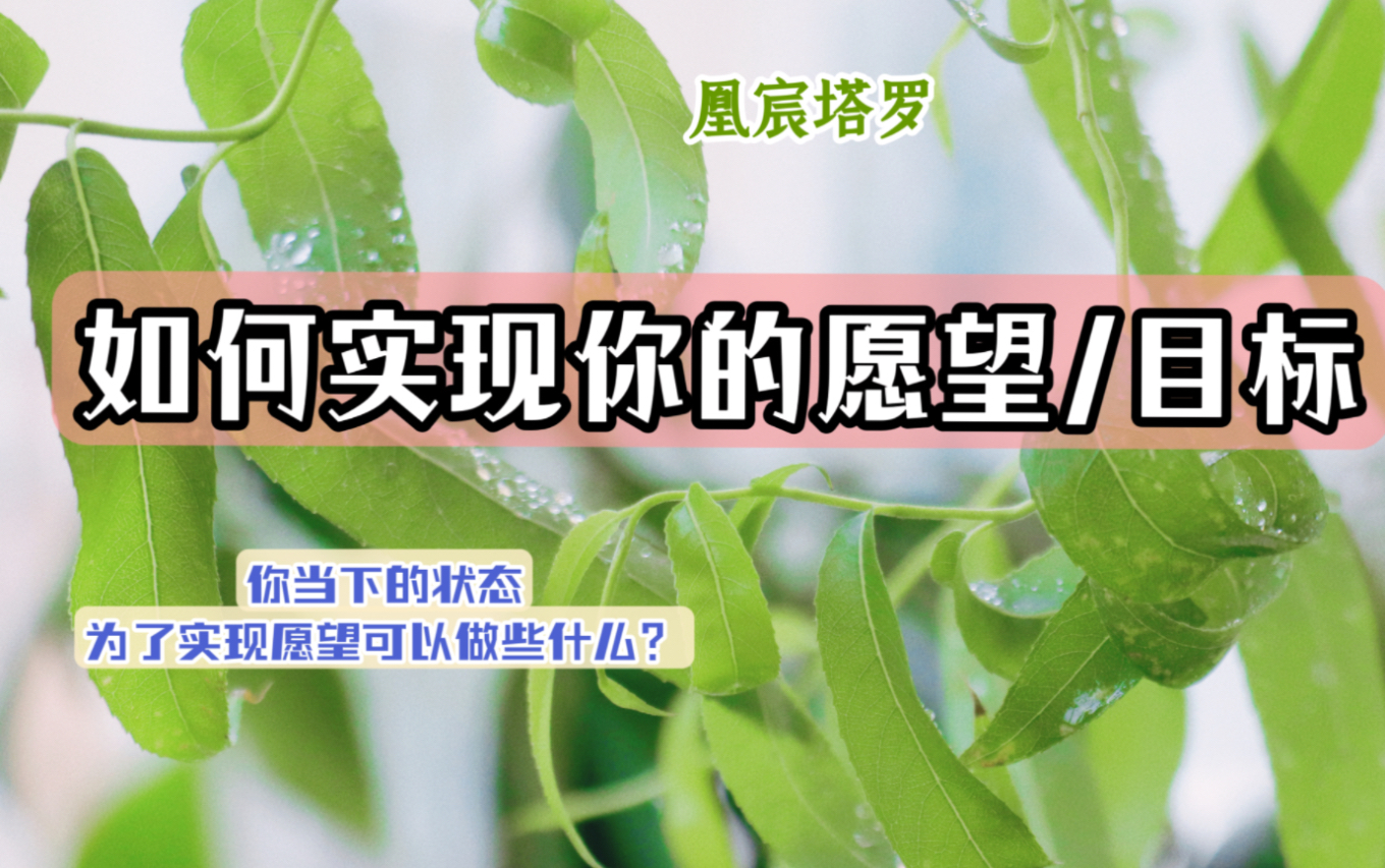 如何实现你的目标/心愿——你当下的能量状态如何?可以做一些什么...