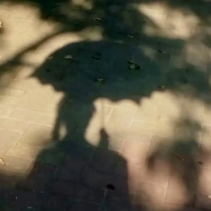 忆舟拾光 