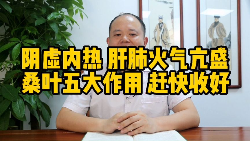 对于调理阴虚内热,肝火肺火,桑叶是个宝,这 5 大作用请收好!