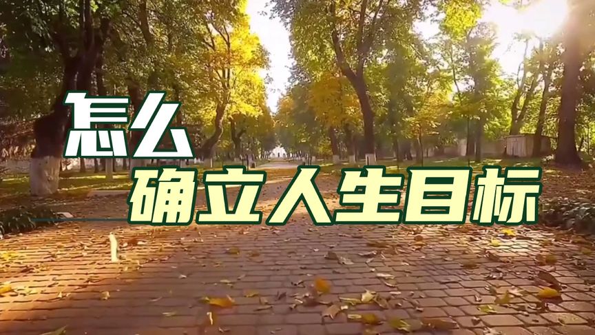 没有人生目标,该如何努力?如何找到属于自己的人生目标