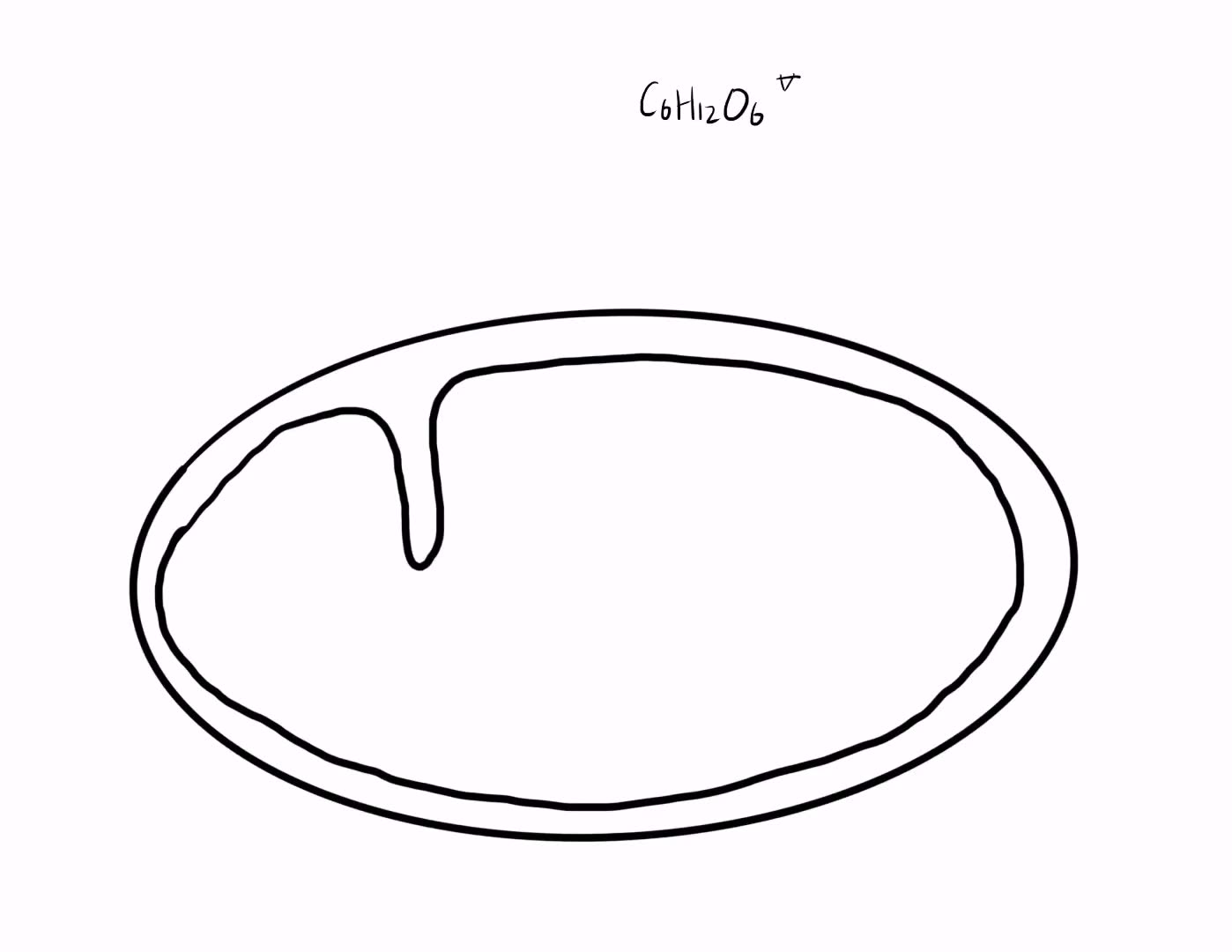 【高中生物】呼吸作用过程及知识点