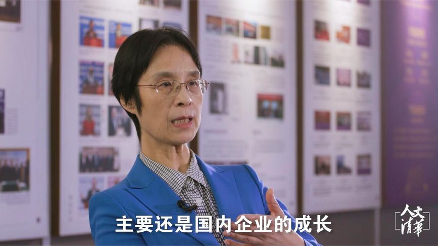 江小涓:中国制造业产值中,外企仅占比20%,不会击垮民族企业
