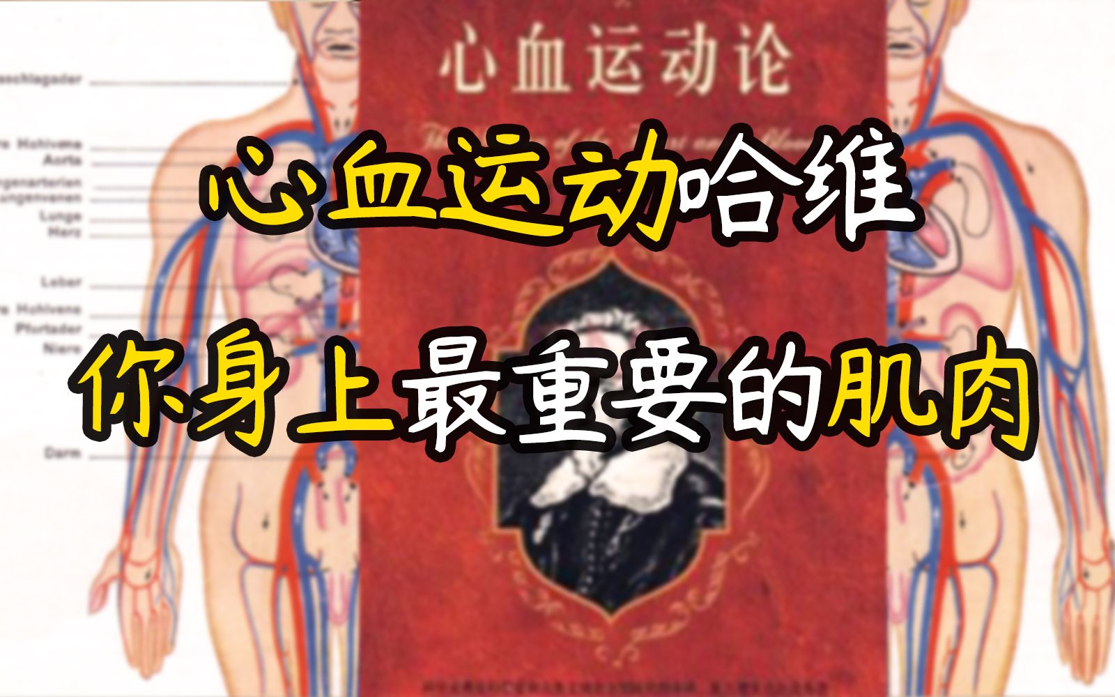【医学史】心血运动论-哈维---你身上最重要的一块肌肉