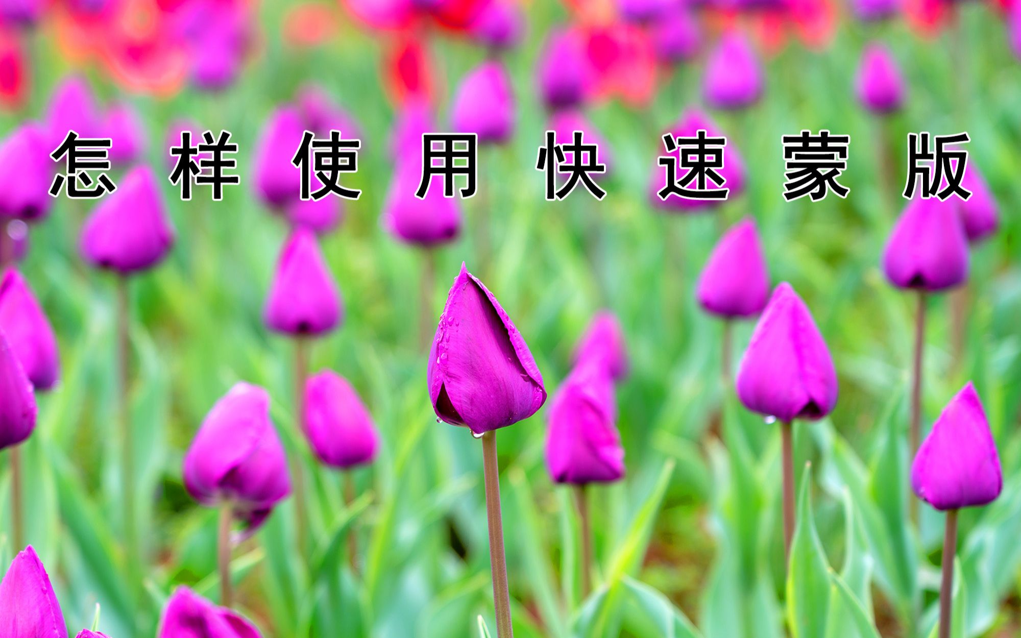 什么是PS里的快速蒙版 怎样使用快速蒙版 PS零基础课程