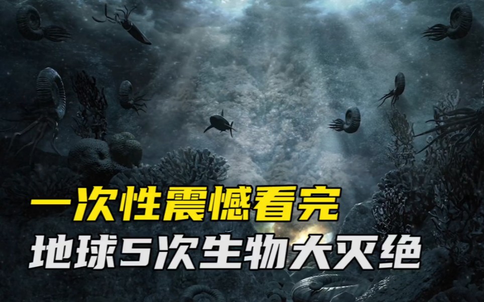 一次性看完地球5次生物大灭绝