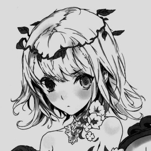 咕咕鸽生态观察 