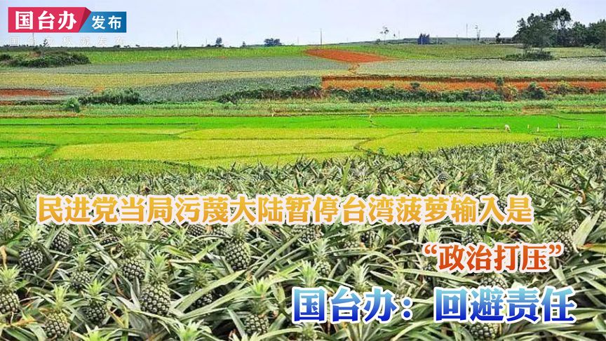 民进党当局污蔑大陆暂停台湾菠萝输入是“政治打压” 国台办回应