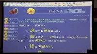 信息技术与学科教学整合 扦插法繁殖花卉 课堂实录