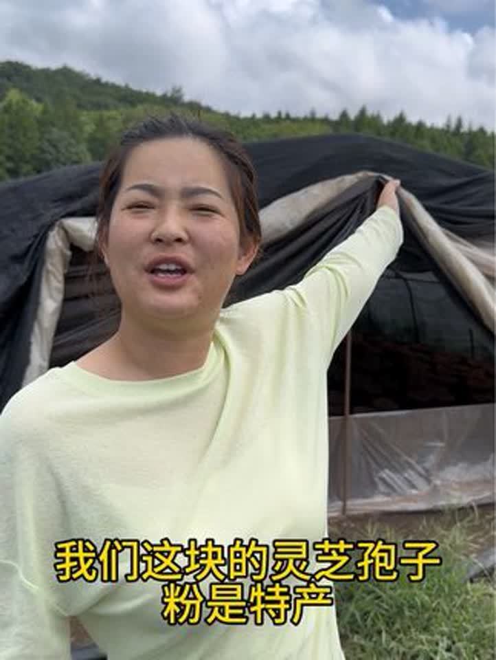 灵芝孢子粉明天中午十一点兄弟姐妹们真实的样子
