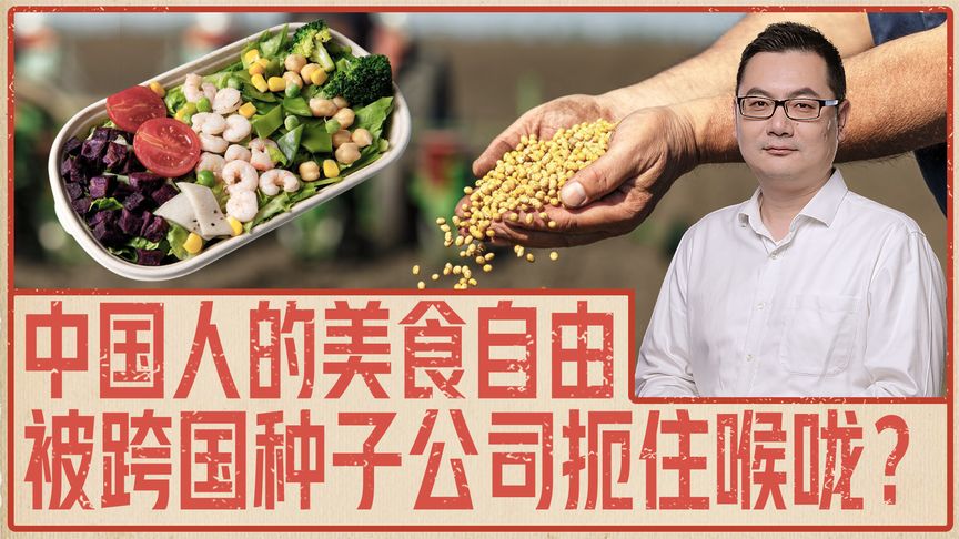 种子危机不用担心?种源不是问题,产业脱节才是中国种业的最大问题!