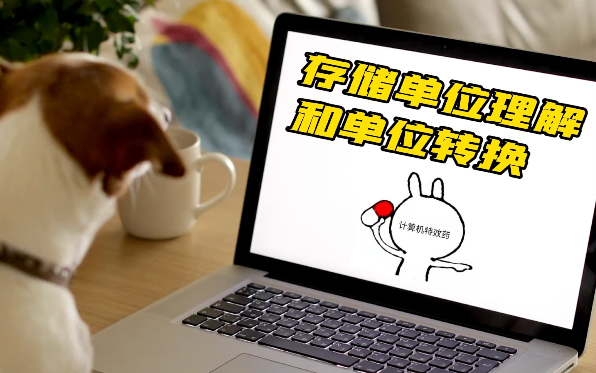 [专升本计算机]对存储单位的理解以及单位转换