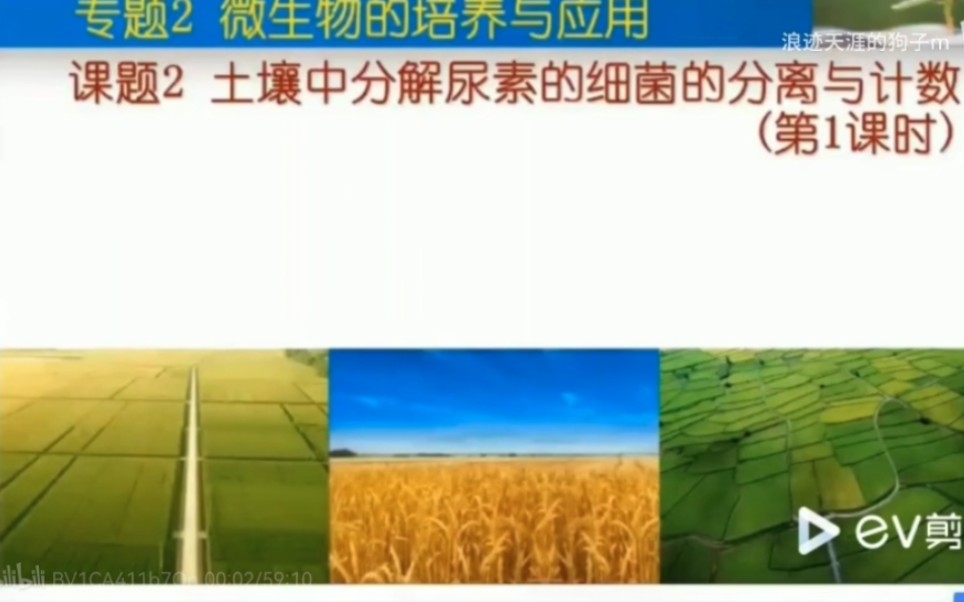 选修一土壤中分解尿素的细菌的分离与计数1,2