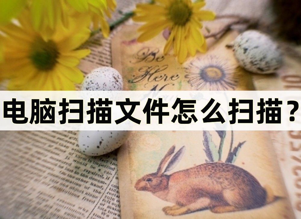 电脑扫描文件怎么扫描?给大家介绍一款软件