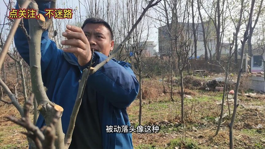 一定要明白主动落头和被动落头的差别。
