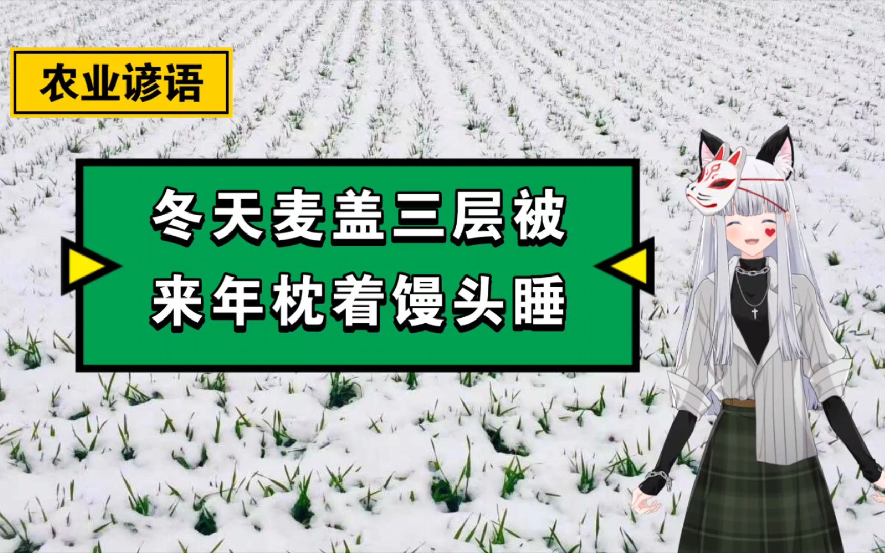 地理角度解释:冬天麦盖三层被/瑞雪兆丰年【爆爆|谚语】