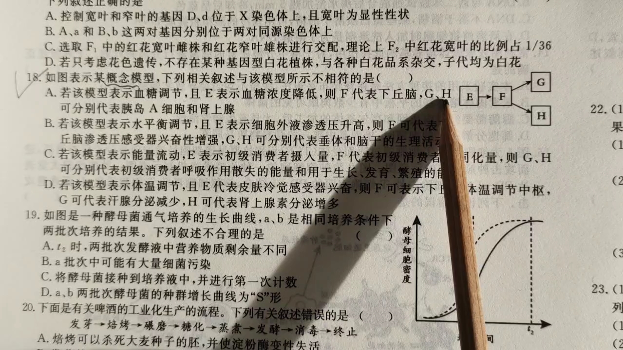 下丘脑参与的水平衡、血糖平衡、体温平衡调节~生态系统能量流动的...