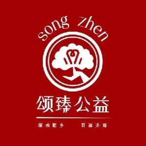 颂臻青年 
