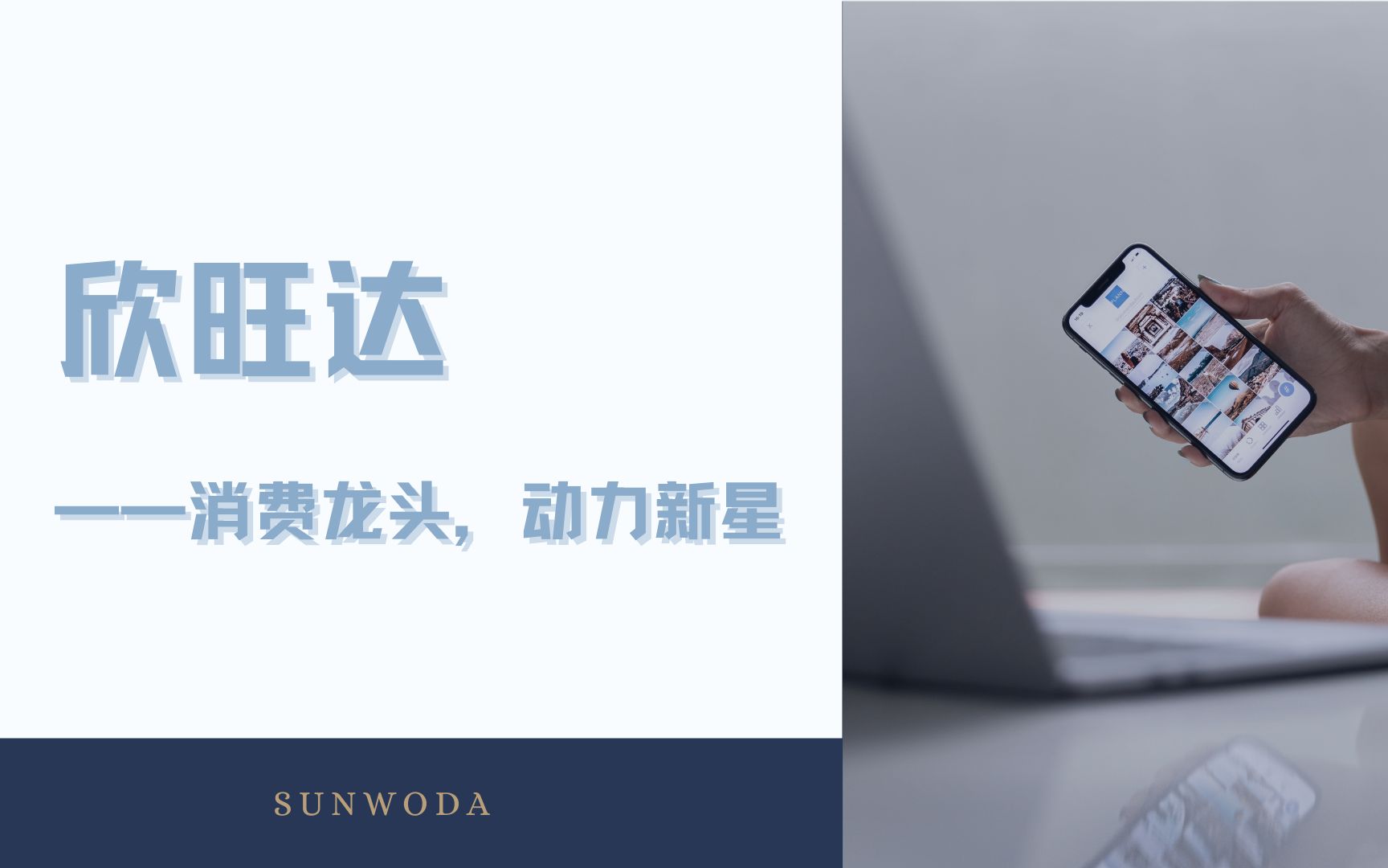 38.消费龙头,动力新星——欣旺达