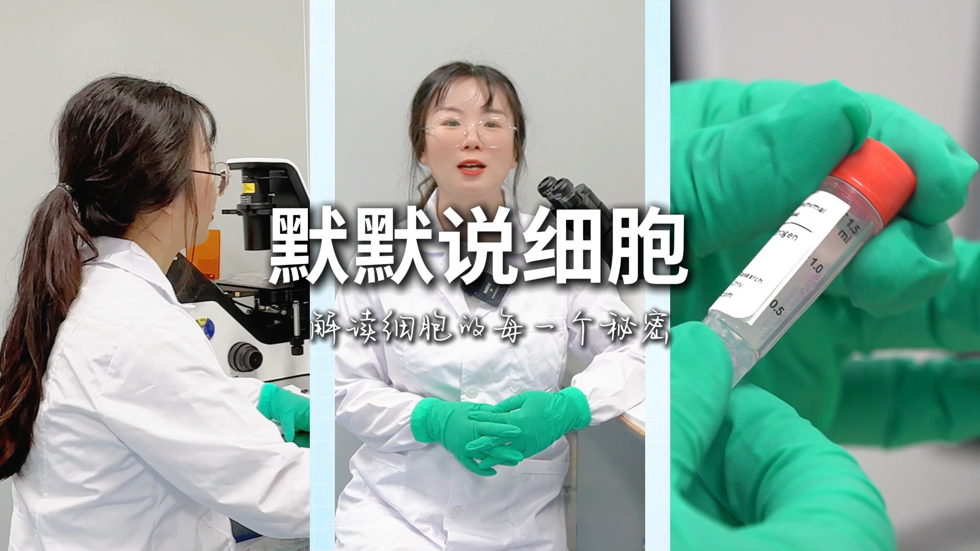 诱导多能干细胞(iPSCs)的应用堪称再生医学一枚闪耀的新星