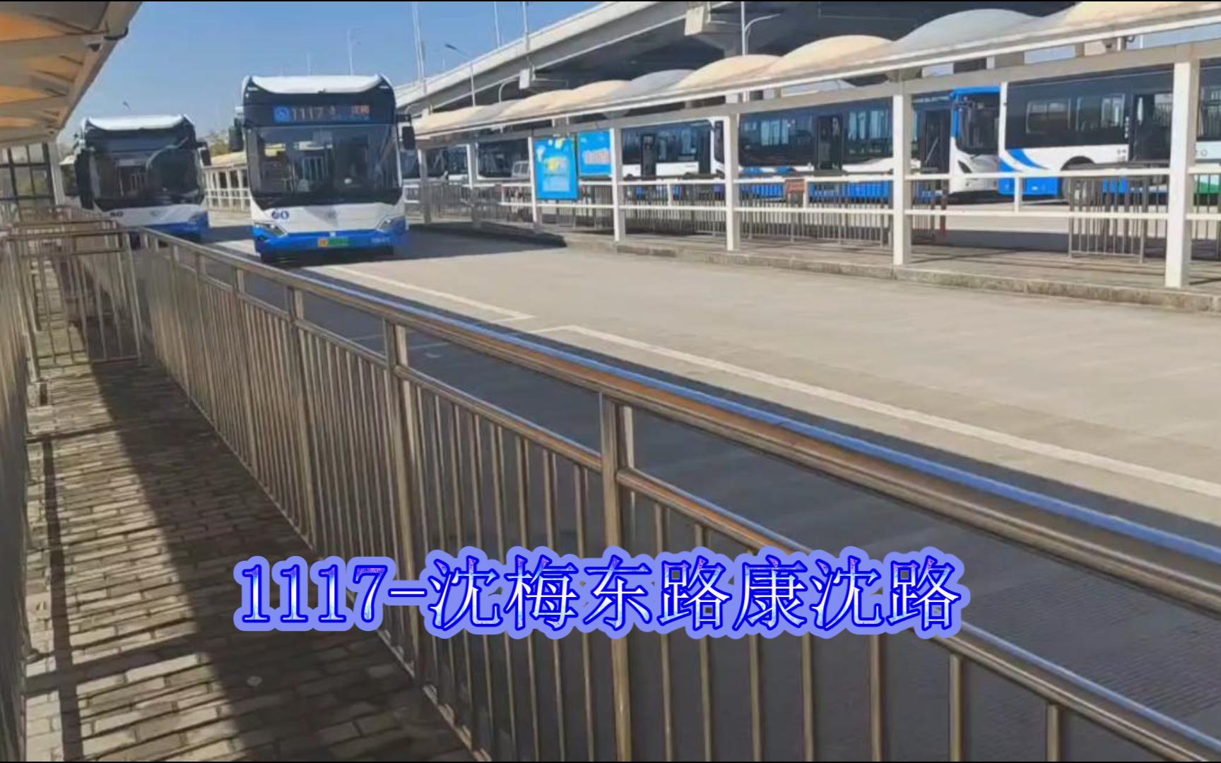 pov253:浦东杨高公交1117路周浦东站往沈梅东路康沈路方向前方展望