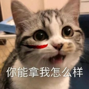 又幸福了宇 