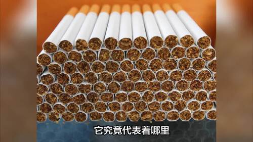 解码烟草代码czyc:探寻背后的地域与行业秘密
