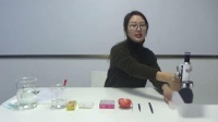 中考实验视频-生物:用显微镜观察番茄果肉细胞-超清720P
