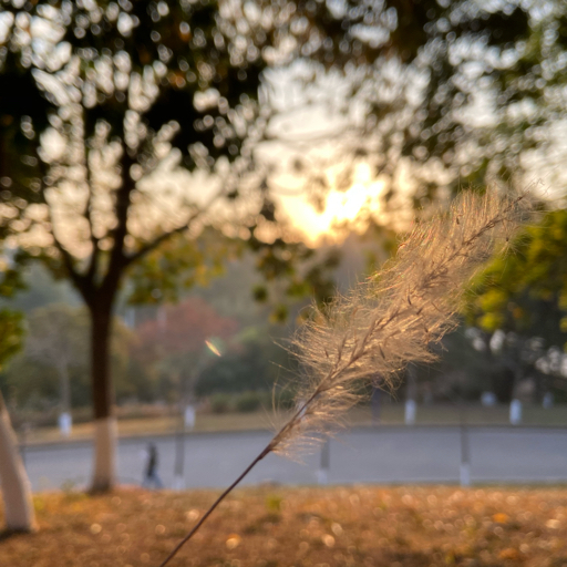 林周一Aa 